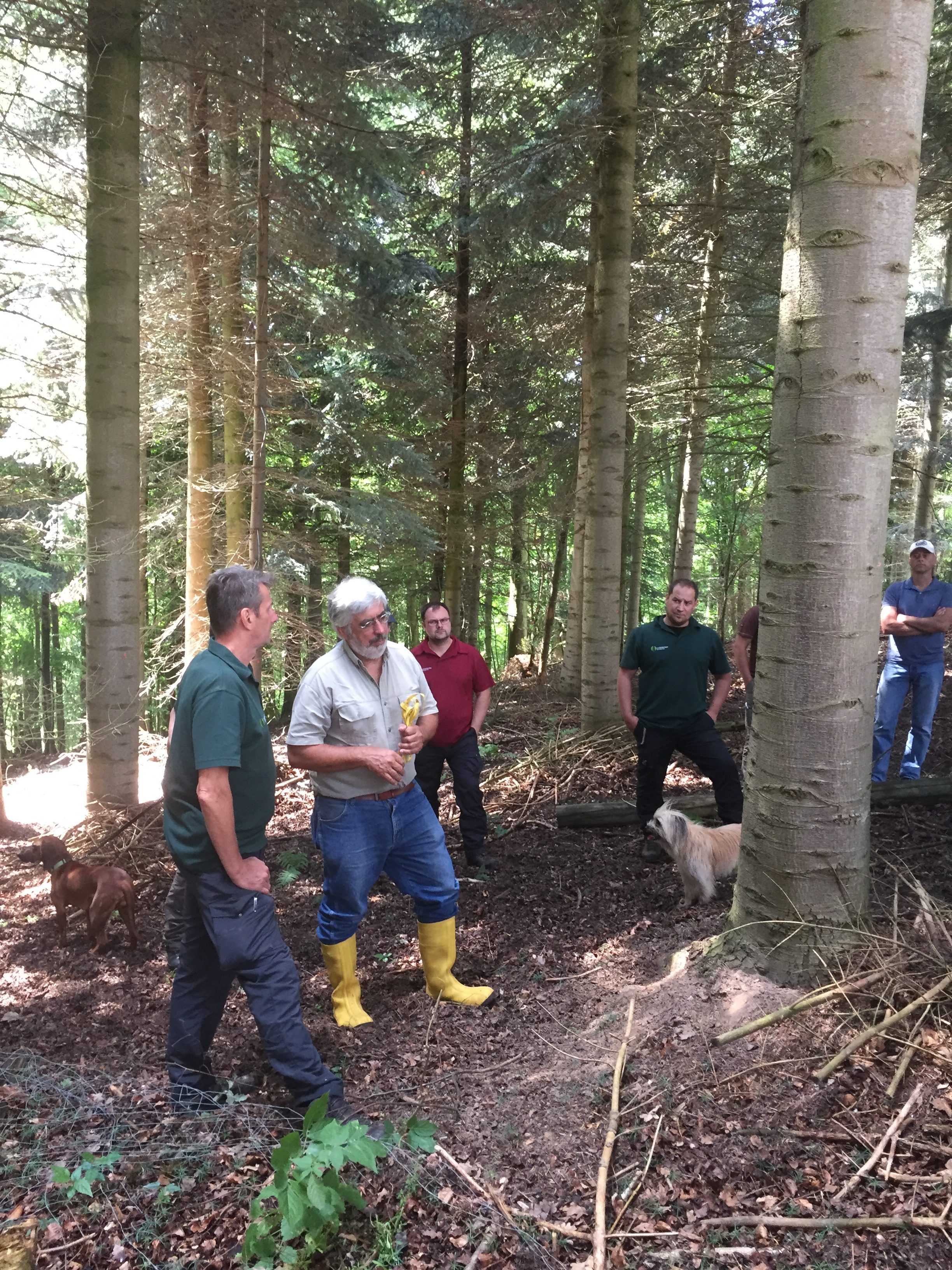 Sommer Exkursion 2019 - Forstbetriebsgemeinschaft Sickinger Höhe e.V.
